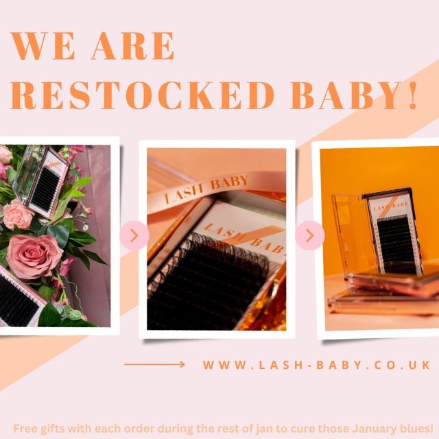 The Lash Bolt - Premium eye lash suppliers